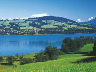 Zell am Moos - TEAM-RAUSCHER Immobilien Salzburg